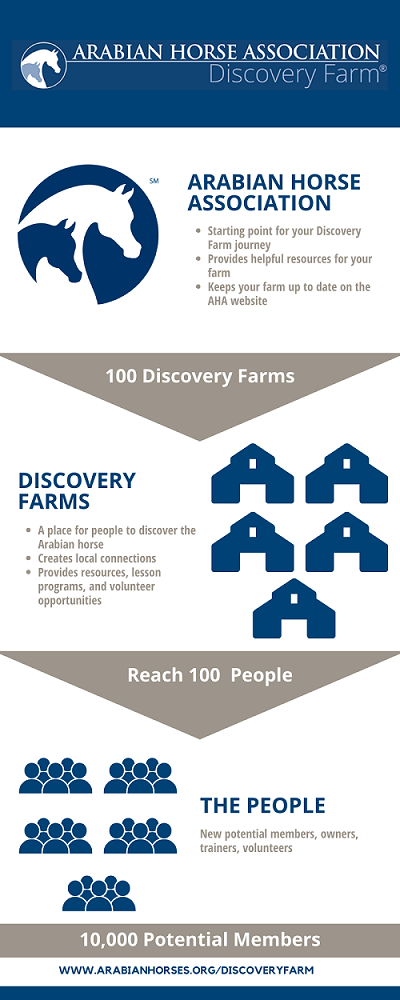 LOCAL LEVEL – Region 16 AHA